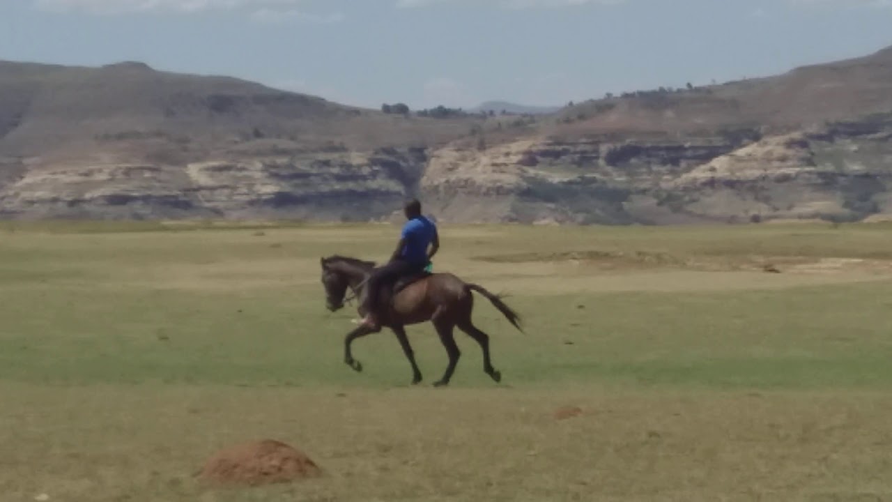 Lesotho horse racing at roma ha mama - YouTube
