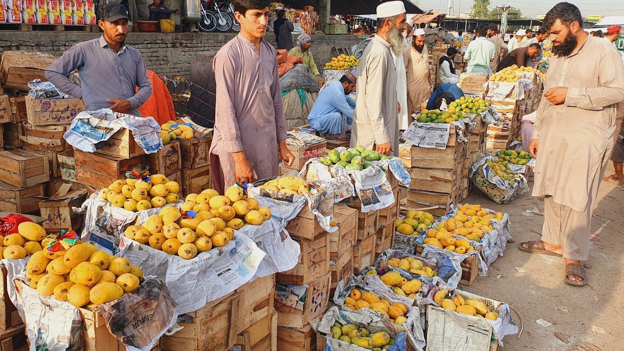 Pakistan Best quality mango | Premium export Quality mango | white ...