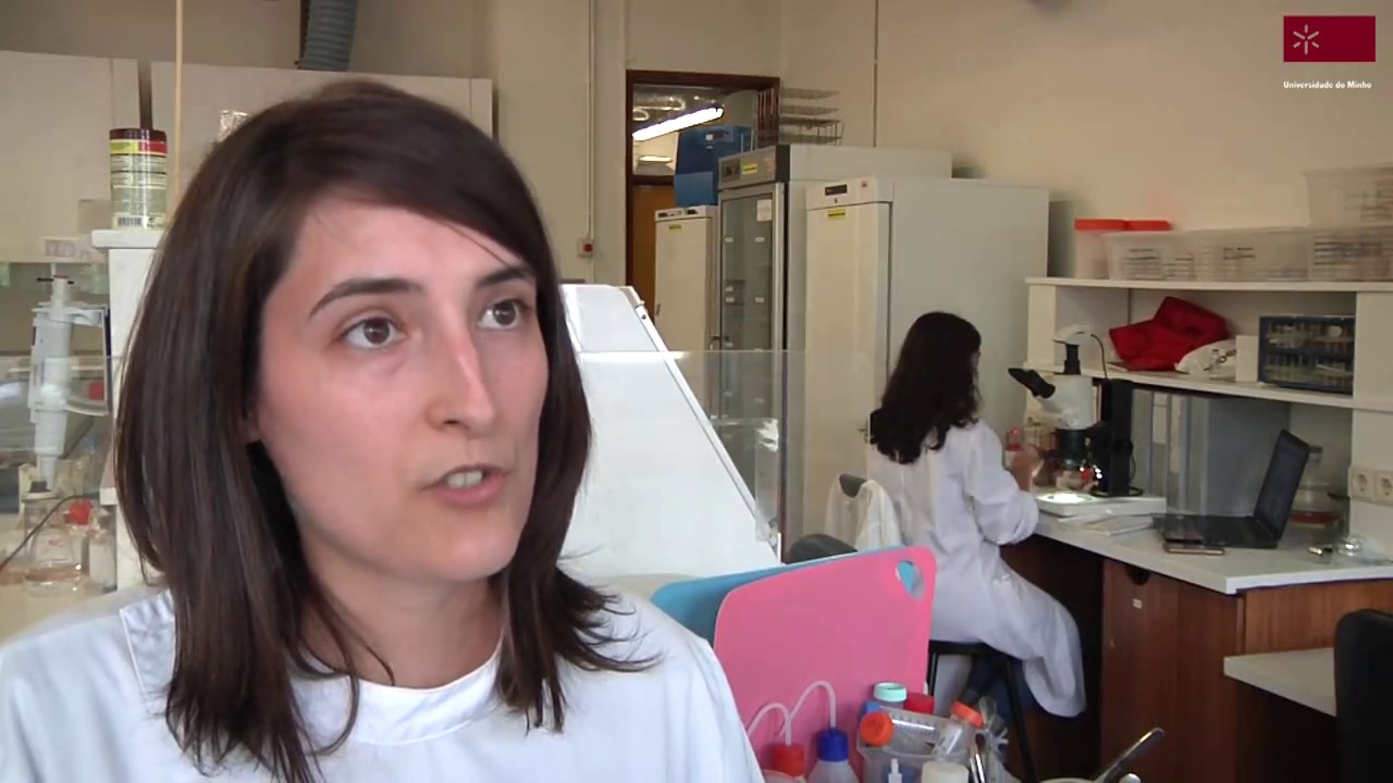 Isabel Fernandes - Investigação CBMA - YouTube