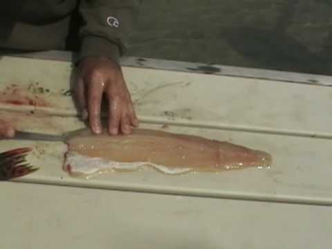 Filleting a Pike - Calvin Style - YouTube
