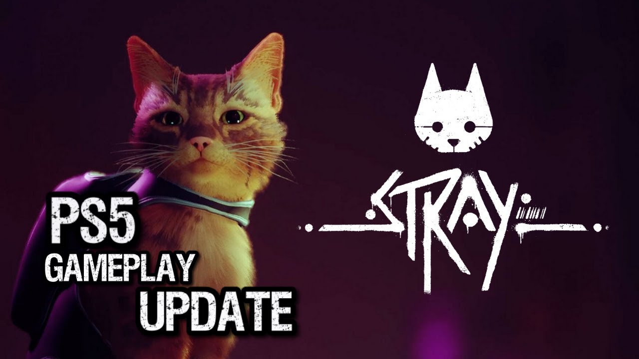Stray PS5 Gameplay Update! - YouTube