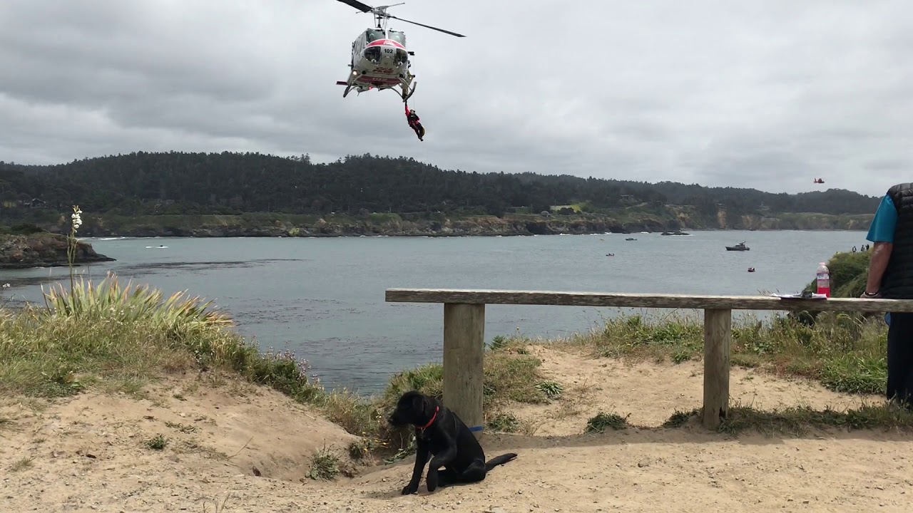 SAR Pup - YouTube
