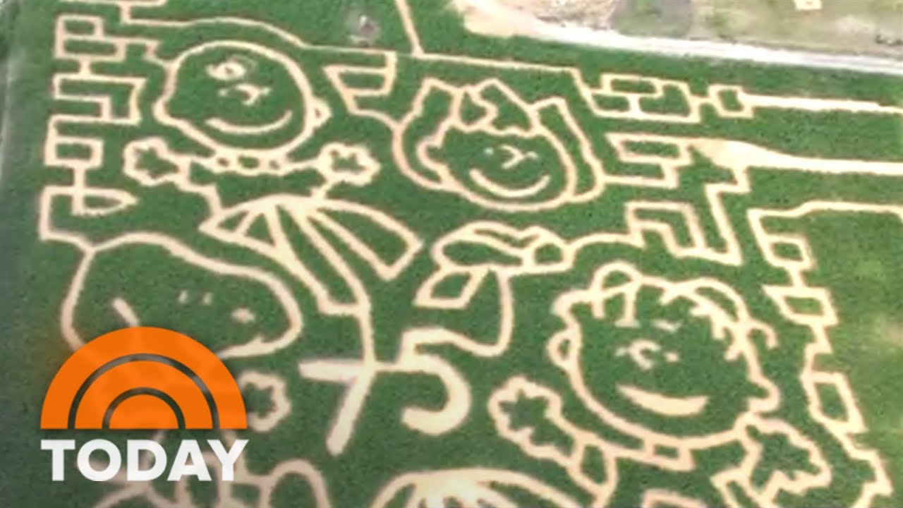 How farms across the country are celebrating 75 years of ‘Peanuts ...