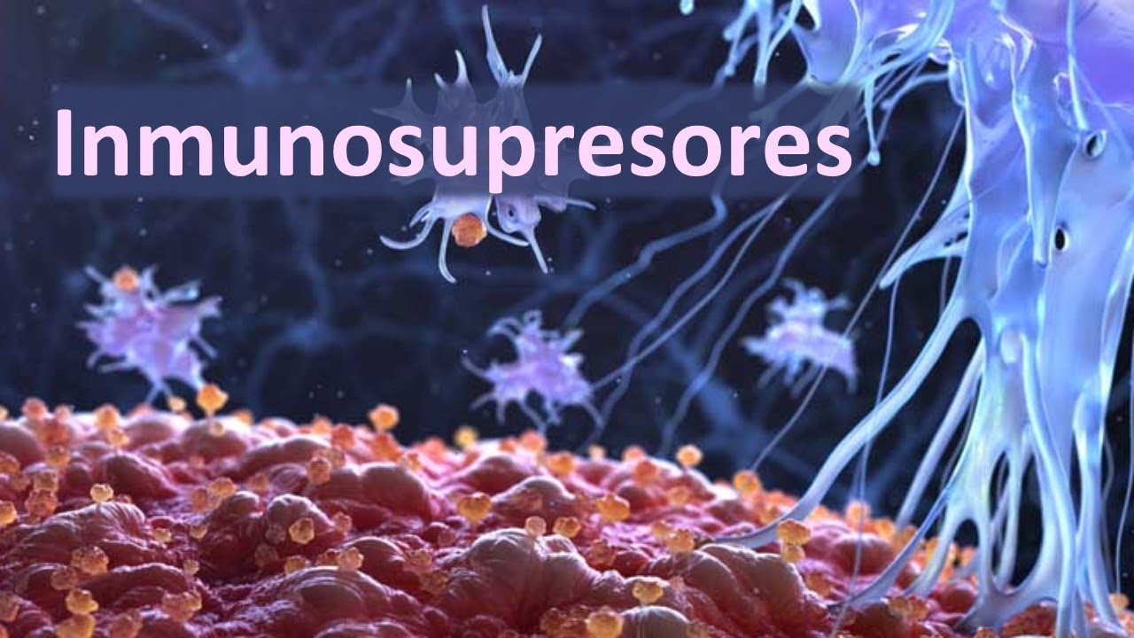 Cuando el Sistema Inmunológico se Aloca Inmunosupresores - YouTube