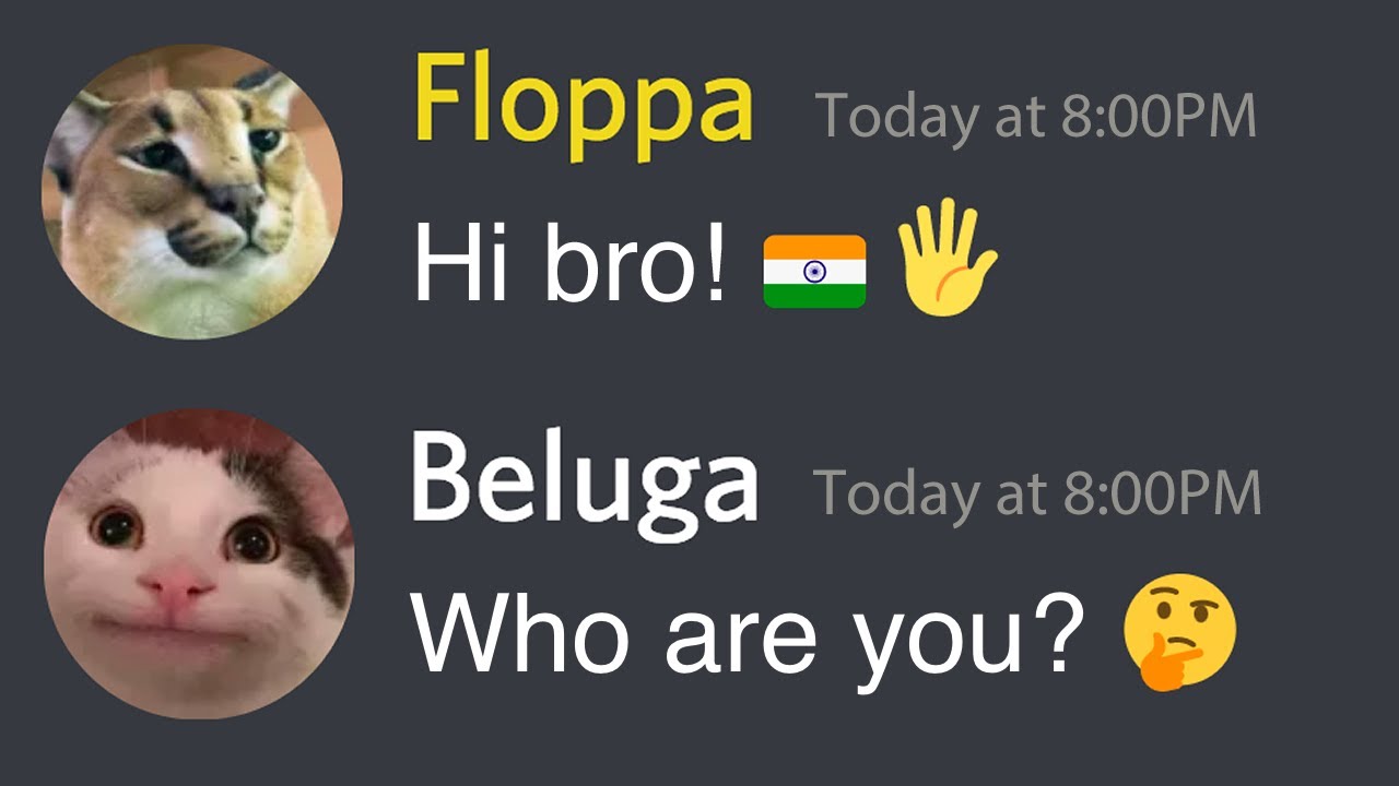 When Your Indian Cousin is a Floppa... (Beluga vs Floppa) - YouTube