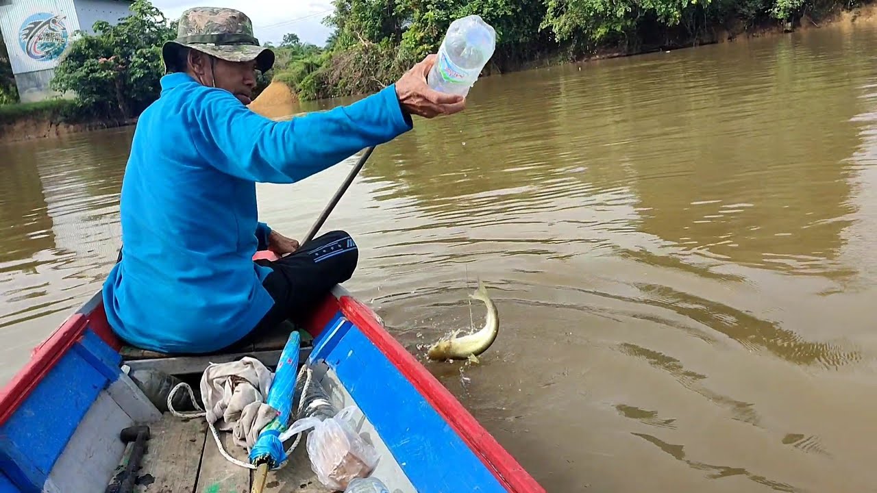 MANCING IKAN LAWANG MENGGUNAKAN BOTOL - YouTube