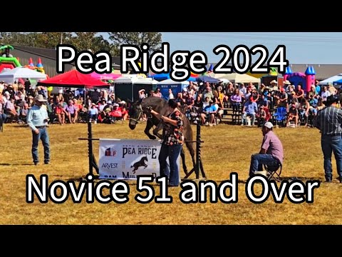 Pea Ridge Mule Jump 2024 Novice 51 and Over - YouTube