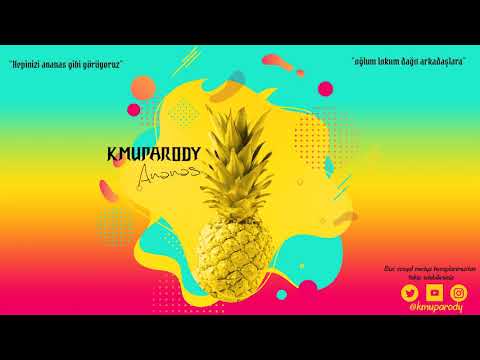 ANANAS kmuparody