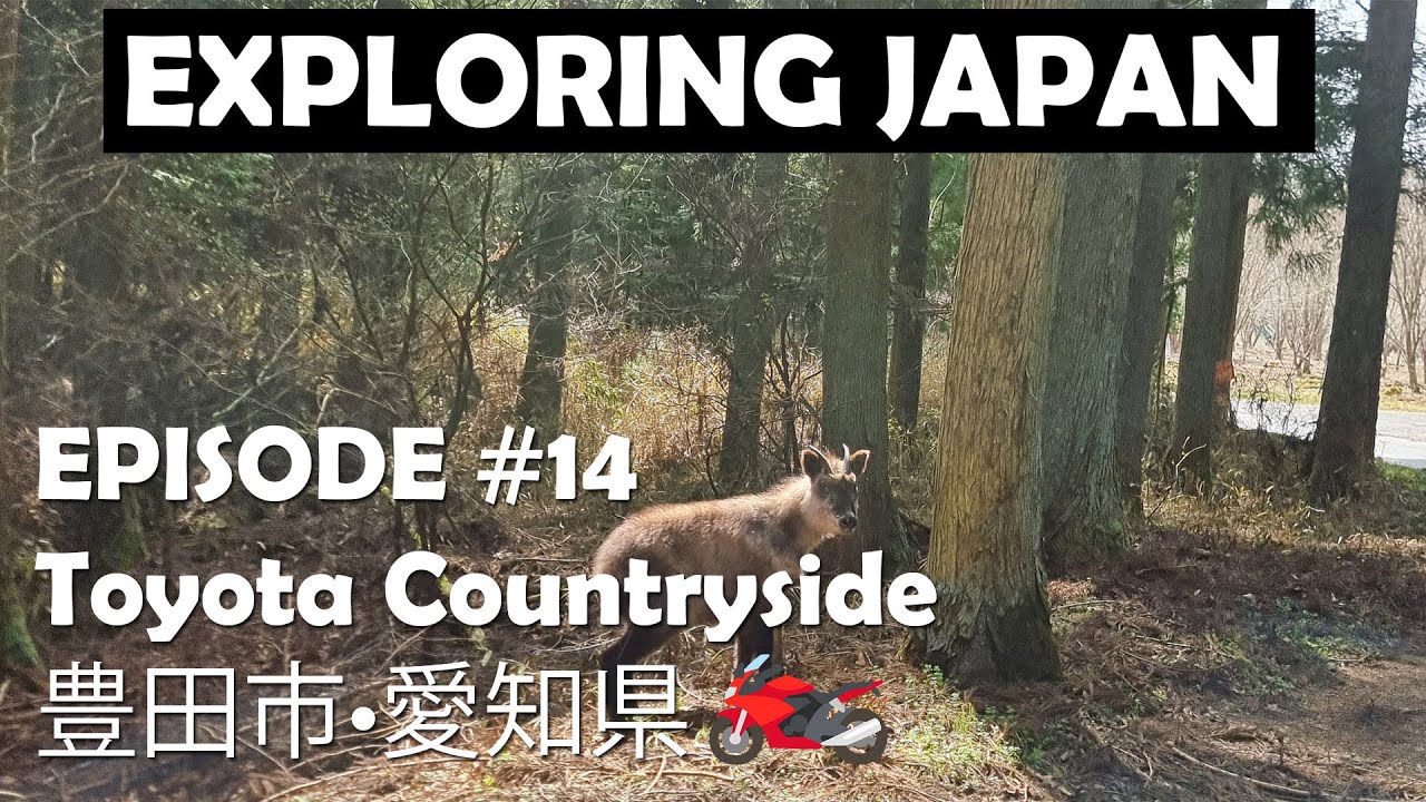 Japan Countryside Tour #14 - Toyota Countryside - Travelling in Toyota ...