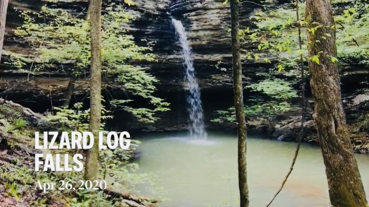 Lizard Log Falls SHOWING UP! - Waterfalls in Arkansas - YouTube
