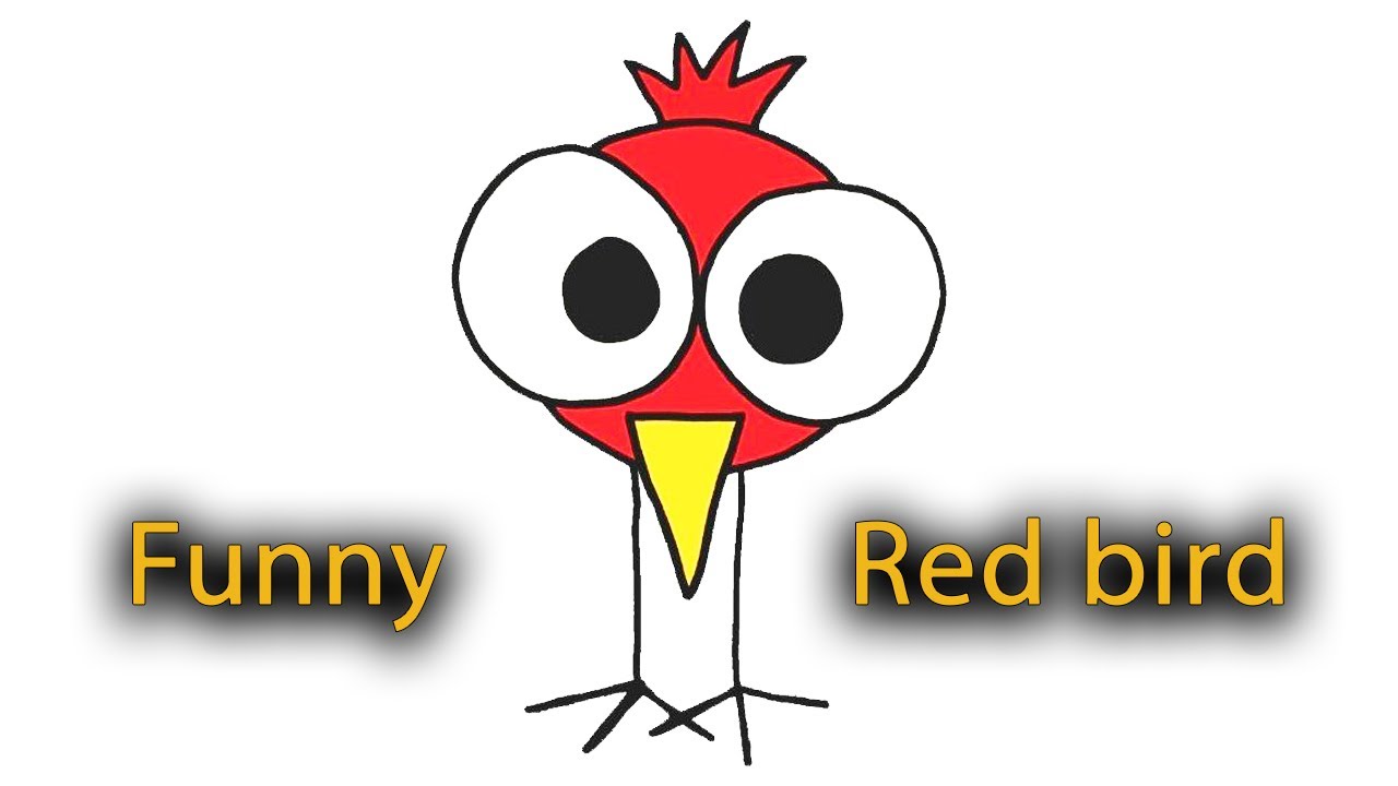 funny red bird - YouTube