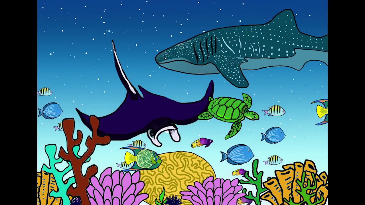 How does reef rugosity affect fish diversity? - YouTube