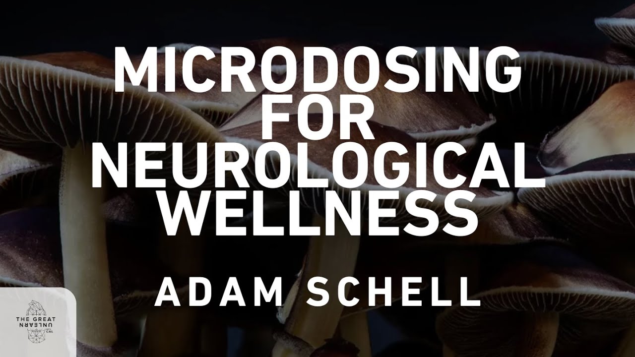 Adam Schell: BRAINSUPREME, Microdosing for Neurological Wellness | The ...