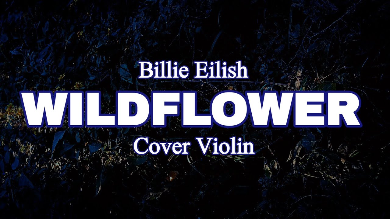 WILDFLOWER | Billie Eilish | Cover Violín - YouTube