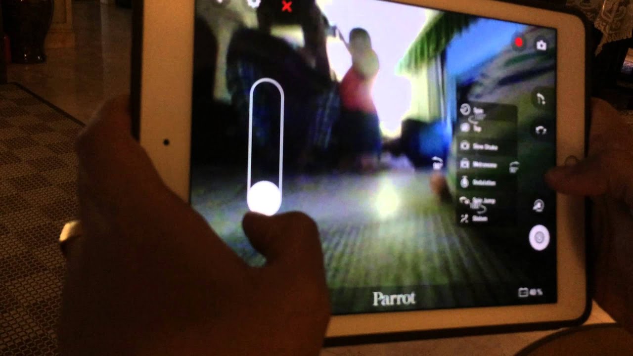 Parrot Sumo Eyes - YouTube