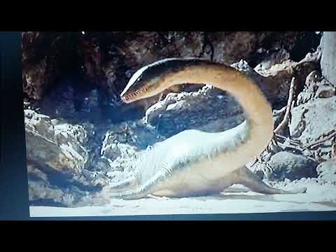 Muttaburrasaurus Life in Gondwana review prehistoric animals appearance