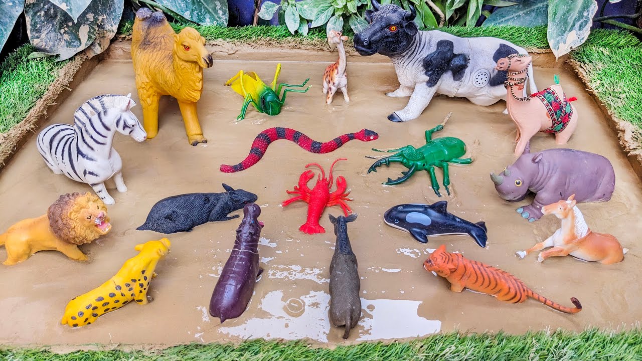 Jungle Delight: Saving Muddy Farm and Forest Animals for Kids' Fun ...