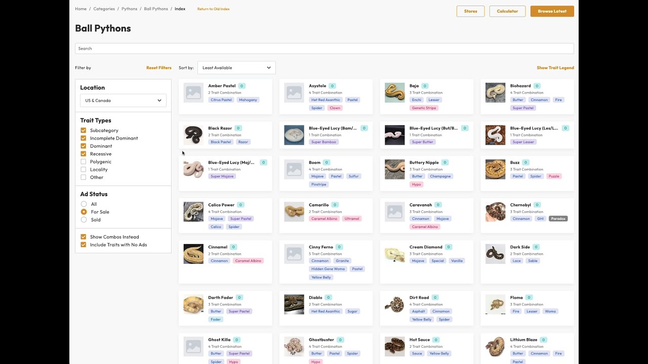 Index Demo - YouTube