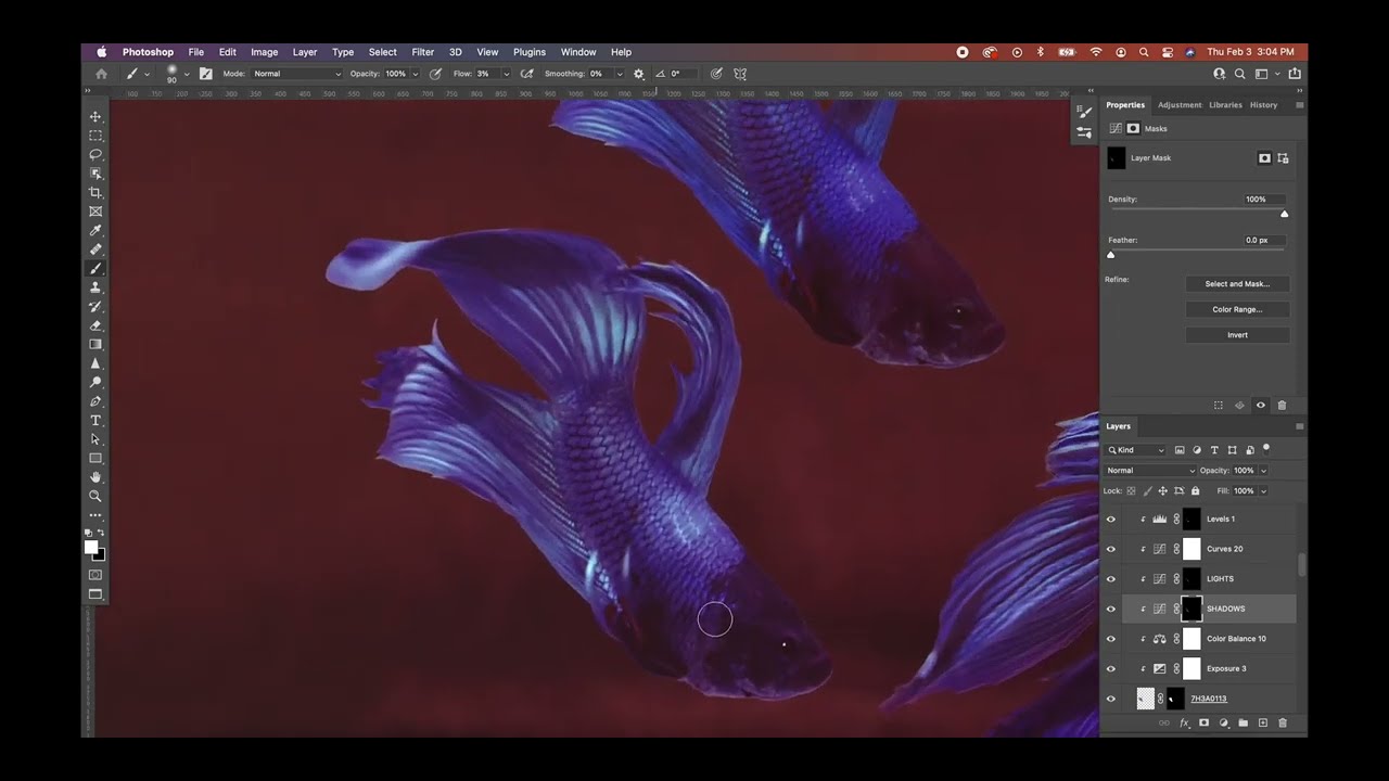 Creating Volume and Texture in Photoshop. (Fish example) - YouTube