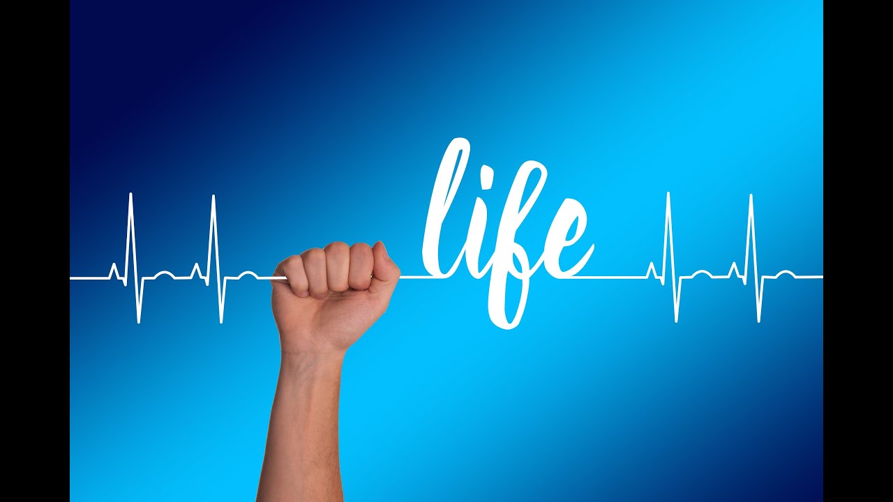 🎧 [Elevated Pulse] - v2 🎧 - (Official Audio) - YouTube