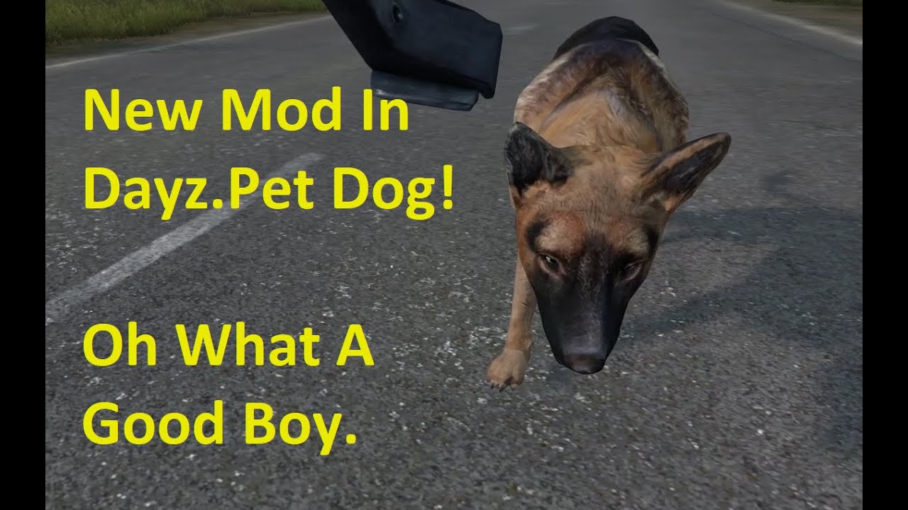 DayZ PET DOG MOD! - YouTube