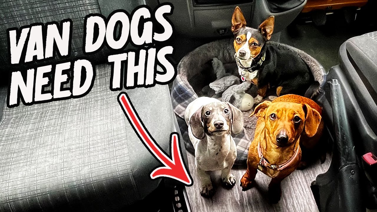 This Made Our Van BIGGER for Our Dogs - YouTube