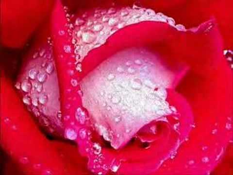 Deniz'ime .. Mutlu Yıllar Canım Dostum ..Oceansea