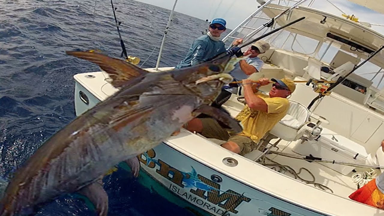 Wow! Longline Giant Fishing, Black Marlin - Level Giant Fishing skill ...