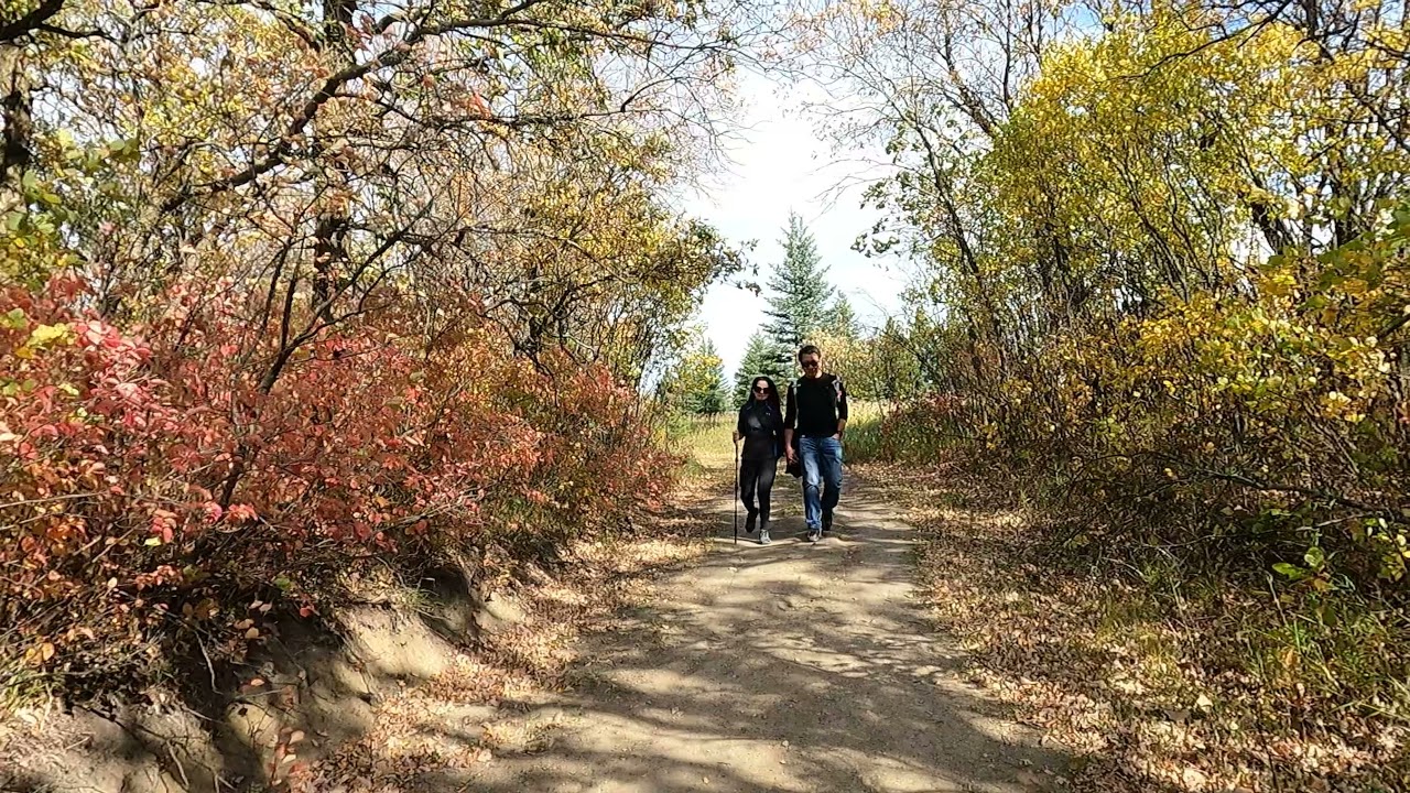 Pembina Valley Provincial Park Sep 25, 2021 downhill a - YouTube