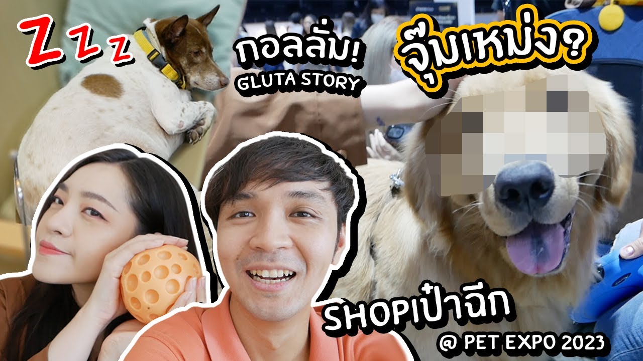 เจอหมาเซเลป กอลลั่ม Gluta story! จุ๊มเหม่ง? //Shopแหลก @Pet Expo 2023 - YouTube