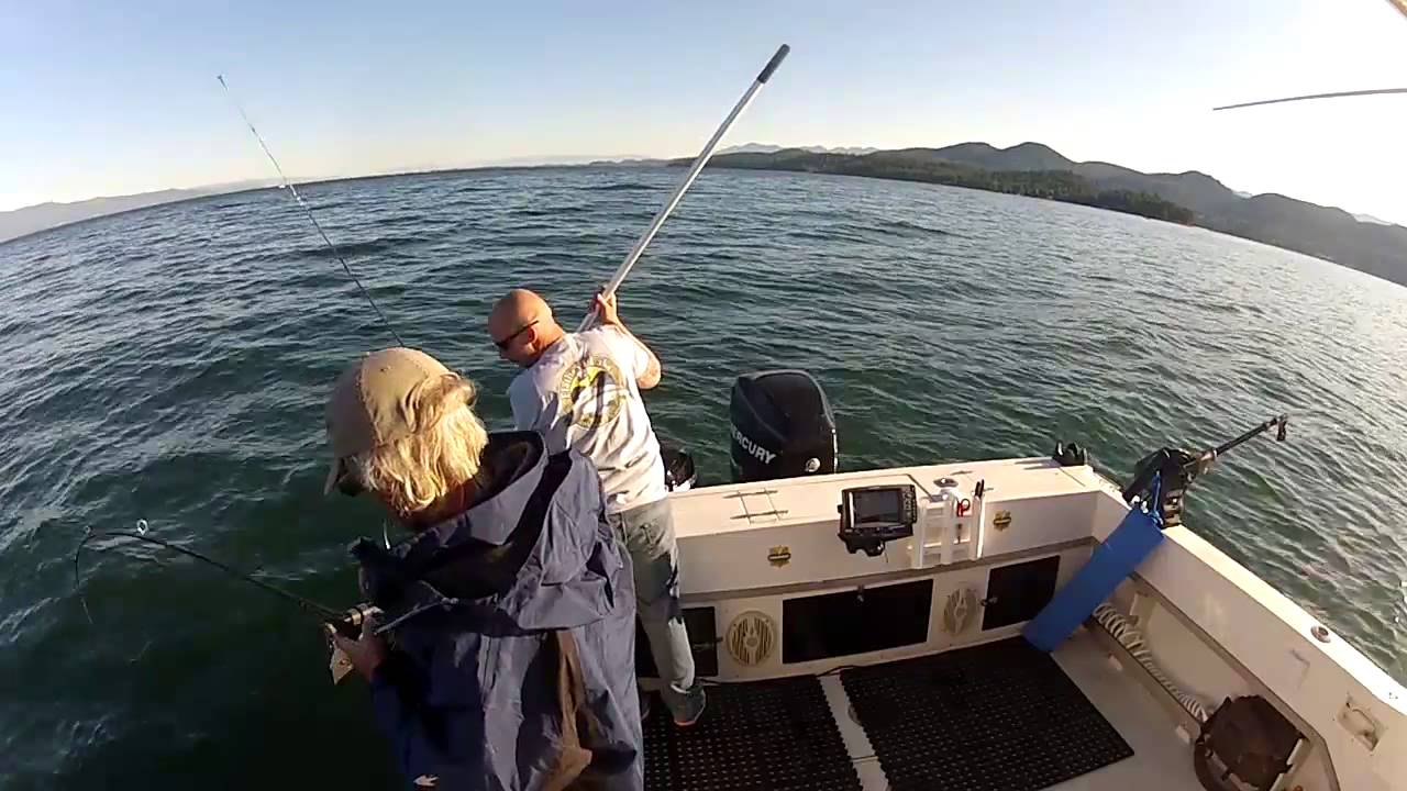 MONSTER LAKE TROUT FISHING W/ FLATHEAD LAKE MONSTER CHARTERS - YouTube