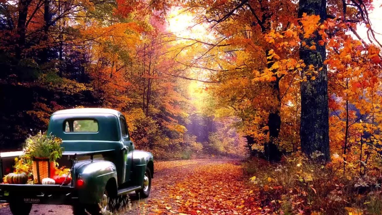 Forever Fall, Beautiful views and beautiful music - YouTube