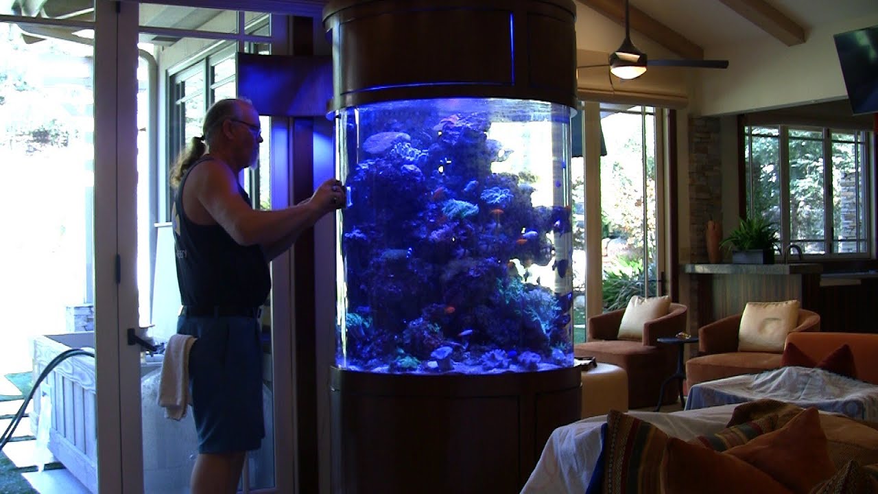 Cylinder Reef Tank Update and Aquarium Service, LA Fishguys Episode 162 ...