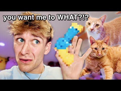 Ranking WEIRD Cat Toys😼