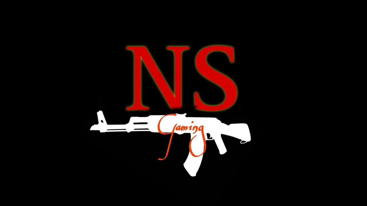 NS GAMING is live - YouTube