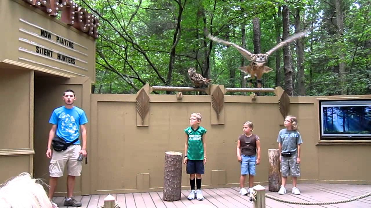 Carolina Raptor Center Silent Hunters - YouTube