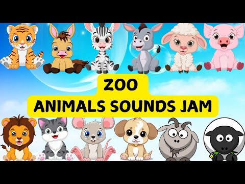 Zoo Animal Sounds Jam | Fun with Jungle & Farm Noises! - YouTube