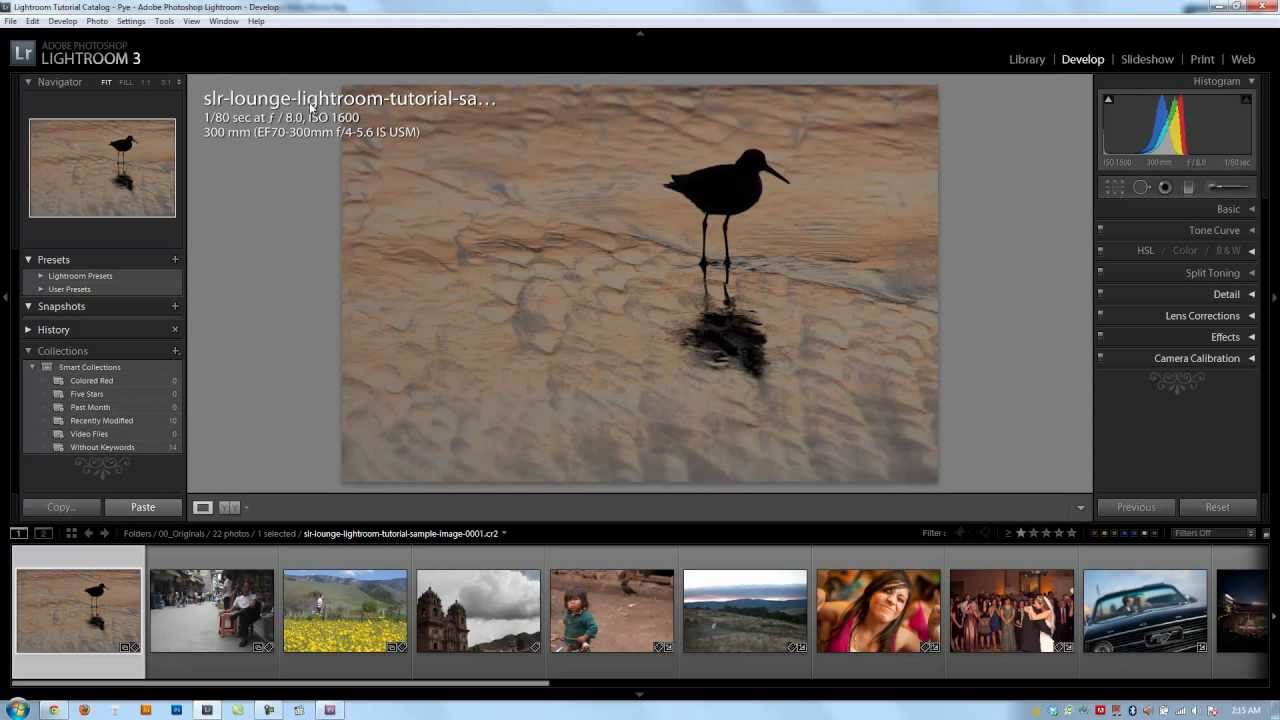 Introduction to the Develop Module of the Lightroom 3 Training Series ...