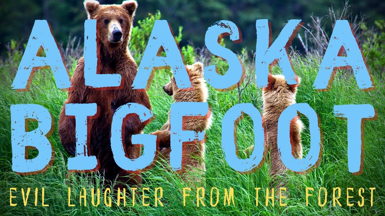 STRANGE CREATURE SEEN AT MILITARY BASE | (Multiple BIGFOOT Encounters ...