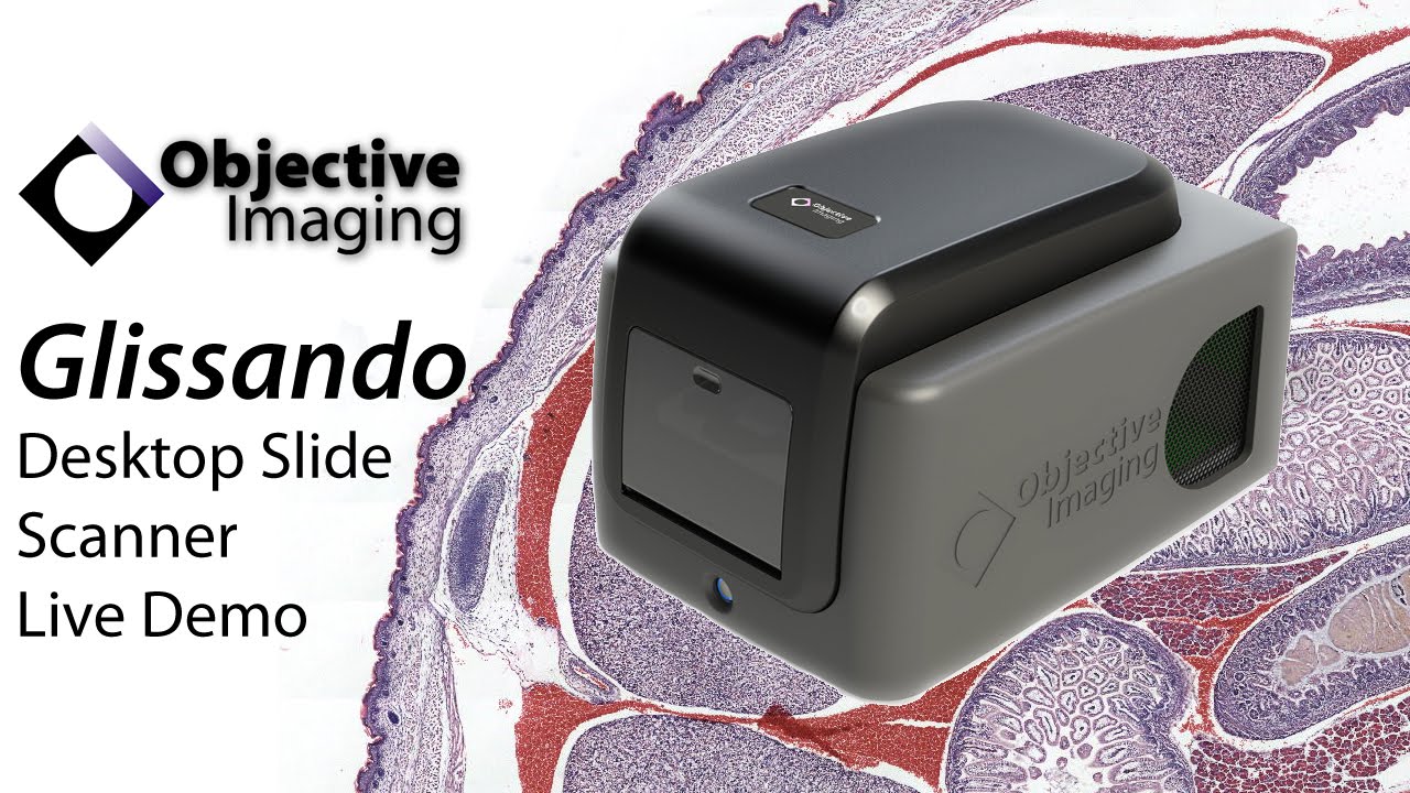 Glissando Slide Scanner Live Demo - YouTube
