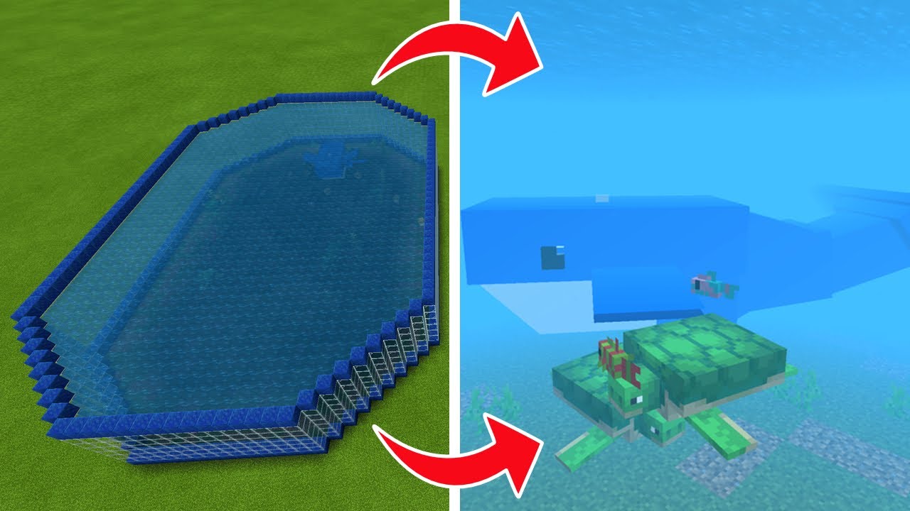MCPE: How To Make a Whale Farm - YouTube