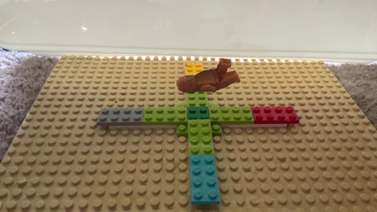 Back flip lego stop motion - YouTube
