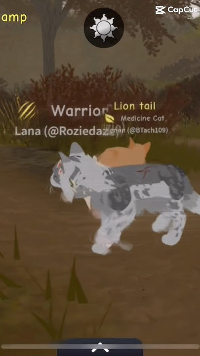 Warrior cats - YouTube