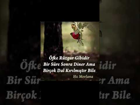 Öfke rüzgar gibidir. #shorts #shortvideo #keşfet