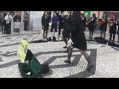 LISBOA 18 DEZEMBRO 2025 - VETUNA Tuna Mista Faculdade Medicina Veterinária Lisboa - @antoniomouraotv