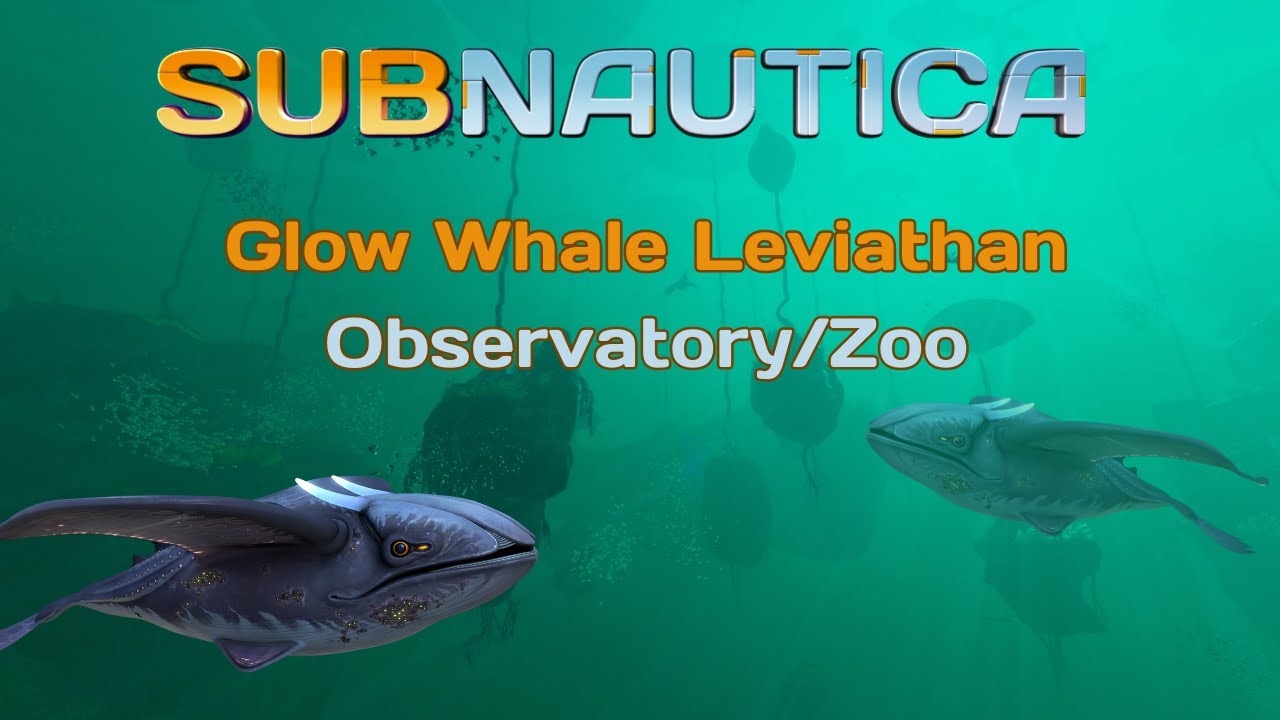 Glow Whale Leviathan Observatory/Zoo - YouTube