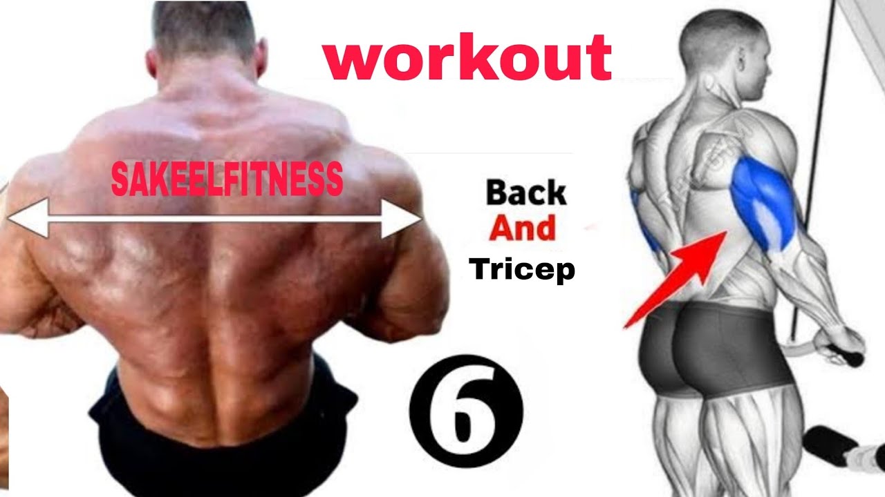 triceps workout tricep workout triceps back and triceps workout home ...