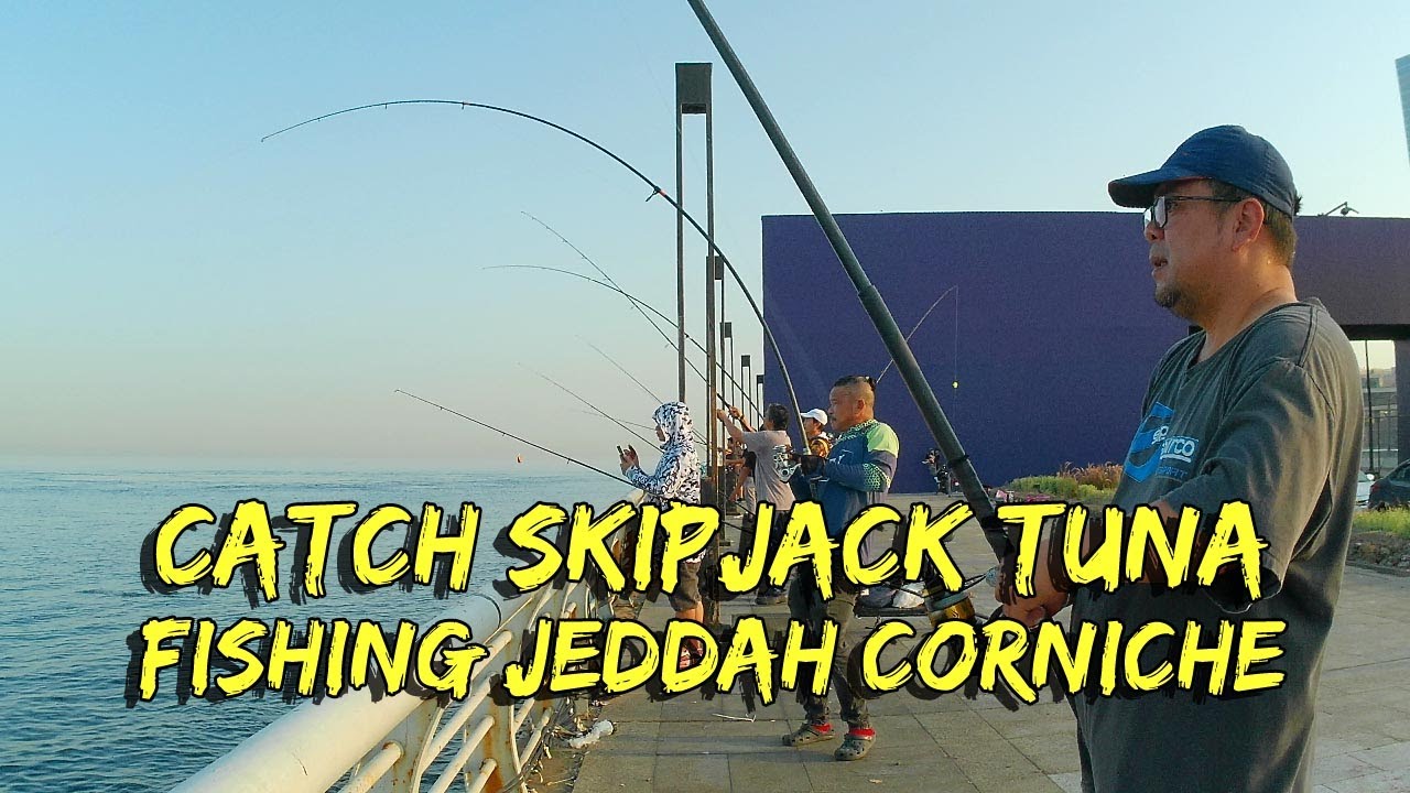 CATCH SKIPJACK TUNA FISHING JEDDAH CORNICHE - YouTube