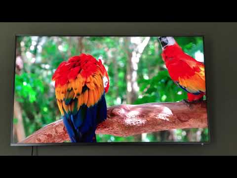 TCL 6 series’s R6 65’ 2018