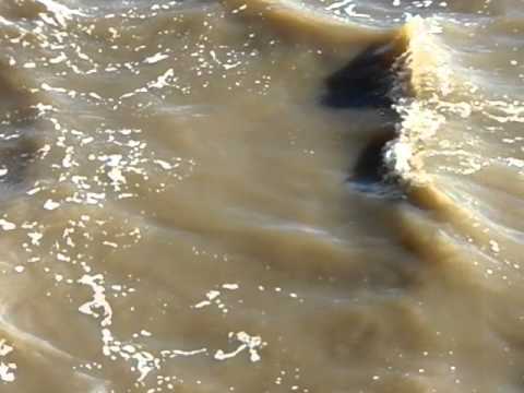 Nikon Coolpix S9100 120fps Video Sample